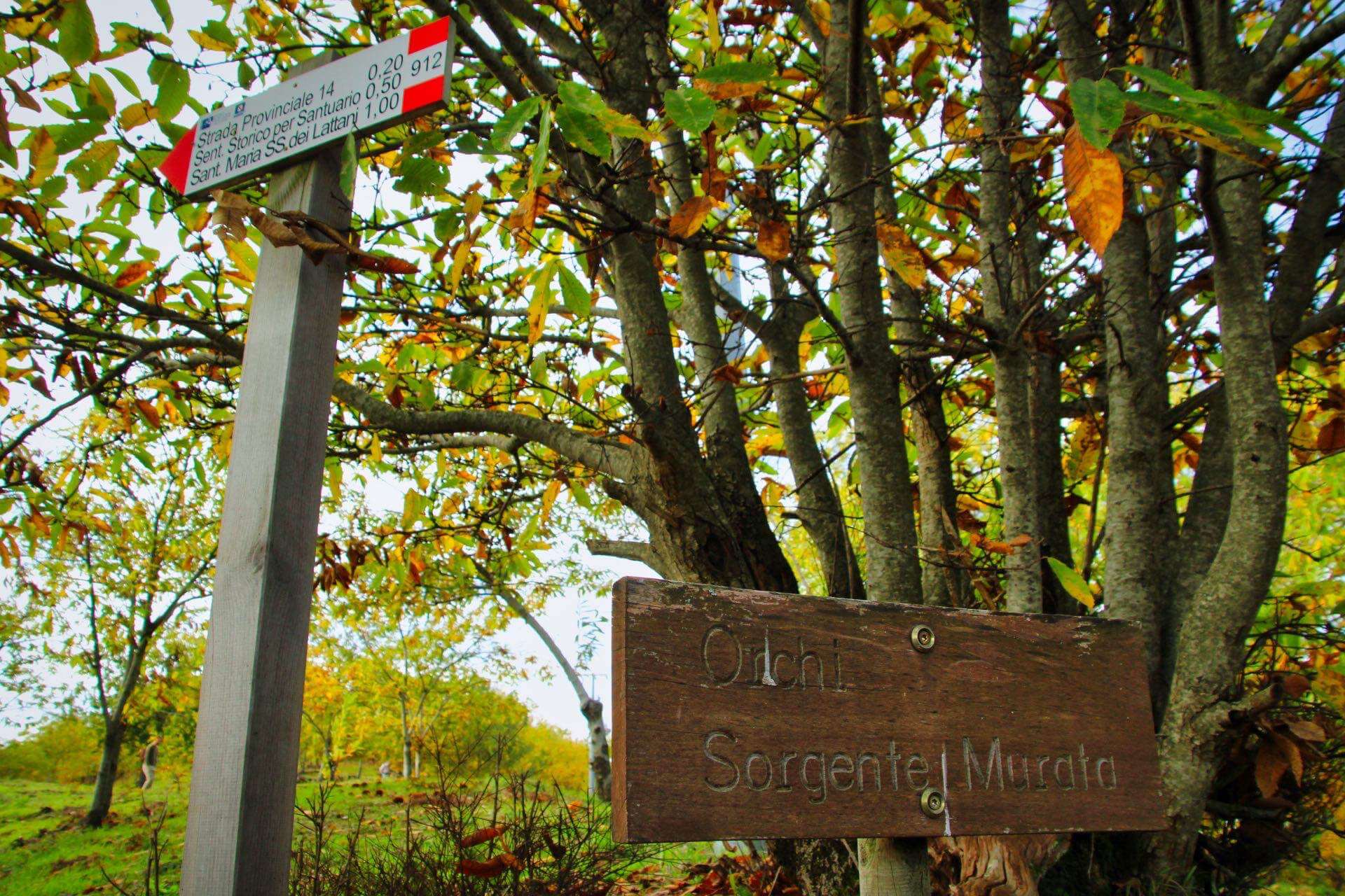 From the village of Orchi to the Sanctuary of the Lattani (Roccamonfina ...