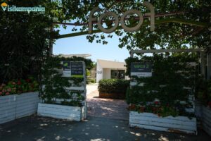 Mondragone | Visitcampania